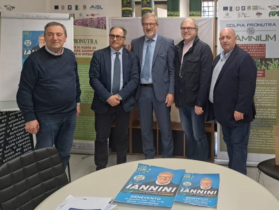 Europee: Iannini, "Serve un progetto sulle infrastrutture produttive ...