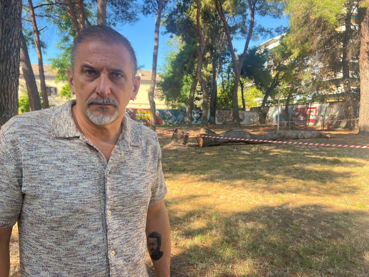 Pescara, il Capogruppo Di Pillo: “Taglio alberi indiscriminato, fermate ...